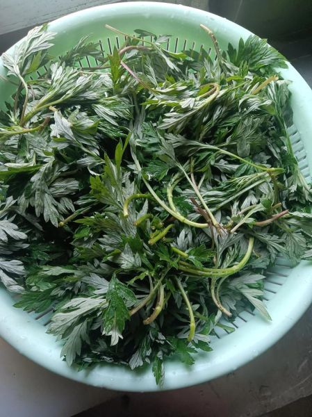 艾叶粑粑怎么做才软糯_艾叶粑粑不苦的技巧-第1张图片-山城妙识