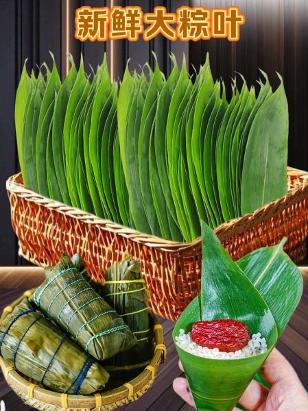 粽子叶和竹子叶的区别_哪种更适合包粽子-第1张图片-山城妙识
