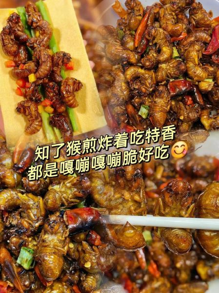 炒知了猴多长时间熟_知了猴怎么炒才酥脆-第1张图片-山城妙识 炒知了猴多长时间熟_知了猴怎么炒才酥脆-第1张图片-山城妙识