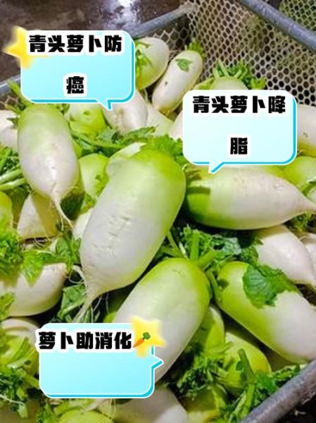 青萝卜是热性还是凉性_青萝卜寒凉吗-第1张图片-山城妙识 青萝卜是热性还是凉性_青萝卜寒凉吗-第1张图片-山城妙识