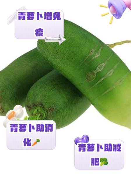 青萝卜是热性还是凉性_青萝卜寒凉吗-第3张图片-山城妙识 青萝卜是热性还是凉性_青萝卜寒凉吗-第3张图片-山城妙识