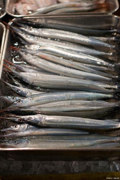 针鱼图片_针鱼长什么样-第3张图片-山城妙识 针鱼图片_针鱼长什么样-第3张图片-山城妙识