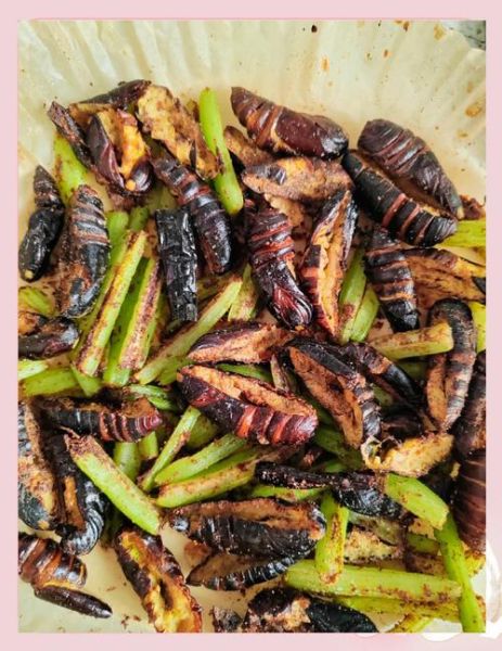 蚕蛹怎么炸才酥脆_蚕蛹炸多久才熟-第1张图片-山城妙识