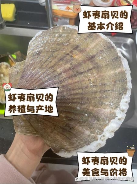 虾夷扇贝和扇贝的区别_哪个更好吃-第1张图片-山城妙识 虾夷扇贝和扇贝的区别_哪个更好吃-第1张图片-山城妙识