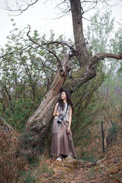 橄榄树歌词含义_为什么流浪远方-第1张图片-山城妙识 橄榄树歌词含义_为什么流浪远方-第1张图片-山城妙识