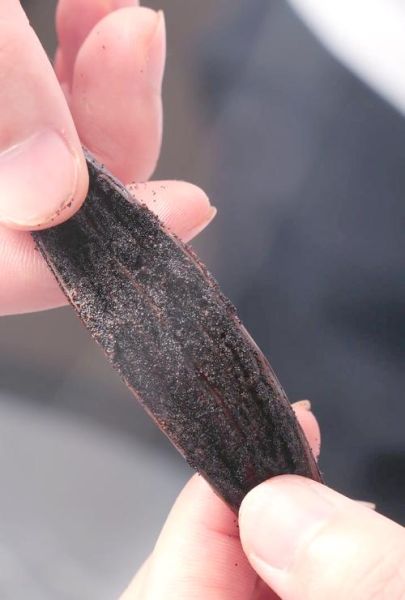 香草荚怎么保存_香草荚多少钱一根-第1张图片-山城妙识 香草荚怎么保存_香草荚多少钱一根-第1张图片-山城妙识