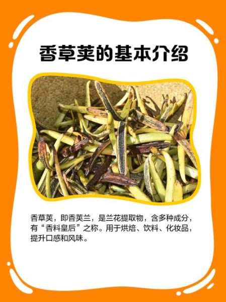 香草荚怎么保存_香草荚多少钱一根-第2张图片-山城妙识 香草荚怎么保存_香草荚多少钱一根-第2张图片-山城妙识