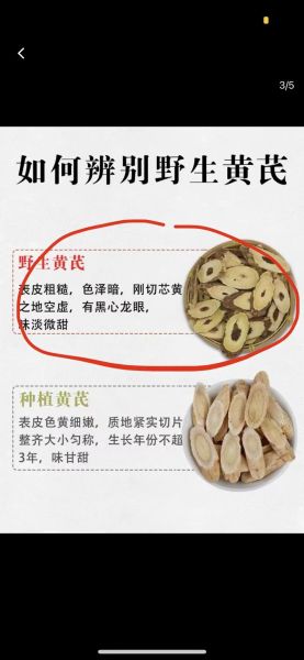 黄芪图片大全_如何辨别真假黄芪-第2张图片-山城妙识