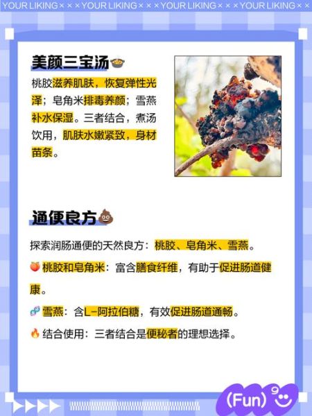 桃胶皂角米雪燕副作用_长期吃有什么危害-第3张图片-山城妙识