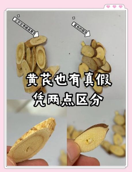 黄芪图片大全_如何辨别真假黄芪-第1张图片-山城妙识