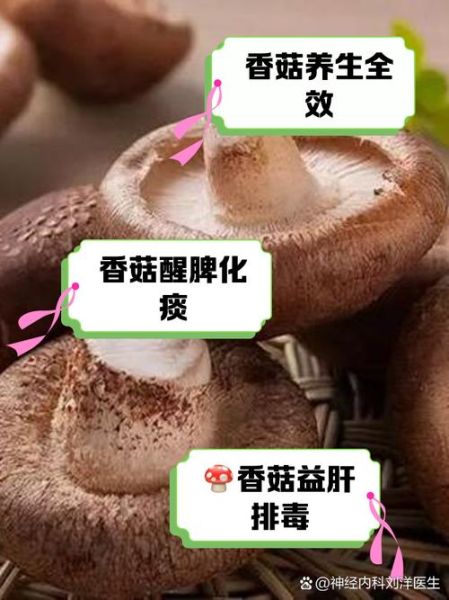 香菇营养价值高吗_香菇有哪些营养成分-第1张图片-山城妙识 香菇营养价值高吗_香菇有哪些营养成分-第1张图片-山城妙识