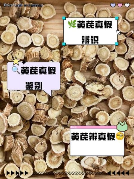 黄芪图片大全_如何辨别真假黄芪-第3张图片-山城妙识
