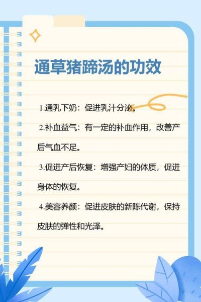 通草猪蹄汤怎么做_通草猪蹄汤下奶做法-第2张图片-山城妙识