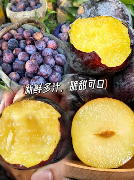 黑布林哪些人不能吃_孕妇能吃吗-第2张图片-山城妙识 黑布林哪些人不能吃_孕妇能吃吗-第2张图片-山城妙识