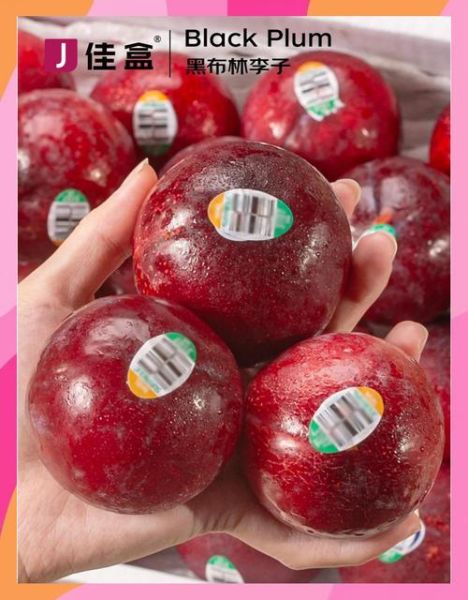 黑布林哪些人不能吃_孕妇能吃吗-第3张图片-山城妙识 黑布林哪些人不能吃_孕妇能吃吗-第3张图片-山城妙识
