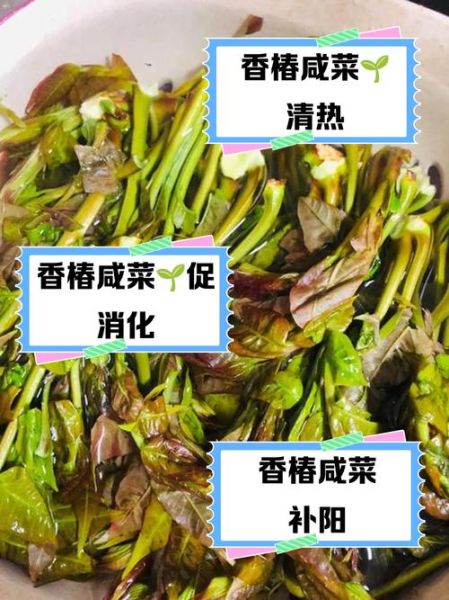 香椿咸菜怎么吃_香椿咸菜的做法大全-第2张图片-山城妙识 香椿咸菜怎么吃_香椿咸菜的做法大全-第2张图片-山城妙识