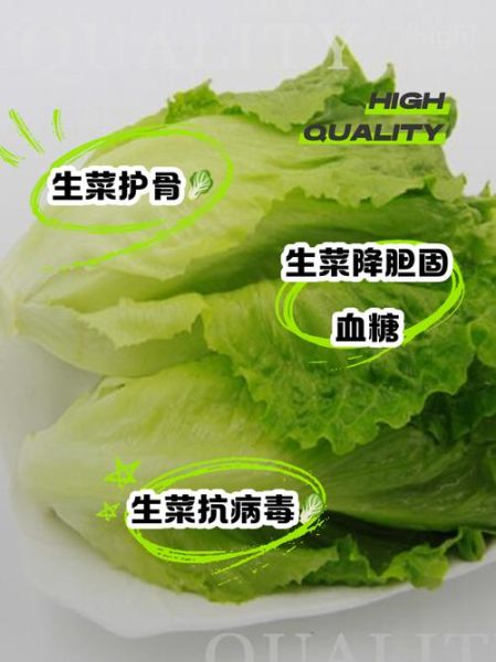 罗马生菜怎么保存_罗马生菜可以生吃吗-第2张图片-山城妙识 罗马生菜怎么保存_罗马生菜可以生吃吗-第2张图片-山城妙识