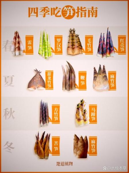 竹笋的营养价值及功效与作用_竹笋怎么吃最健康-第2张图片-山城妙识