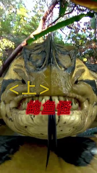 蛇鱼怪电影高清完整版哪里看_蛇鱼怪电影剧情解析-第1张图片-山城妙识 蛇鱼怪电影高清完整版哪里看_蛇鱼怪电影剧情解析-第1张图片-山城妙识