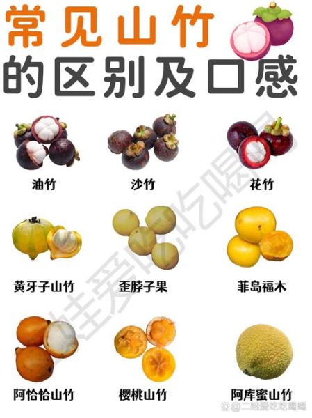 山竹的功效与作用_山竹怎么吃不上火-第2张图片-山城妙识 山竹的功效与作用_山竹怎么吃不上火-第2张图片-山城妙识