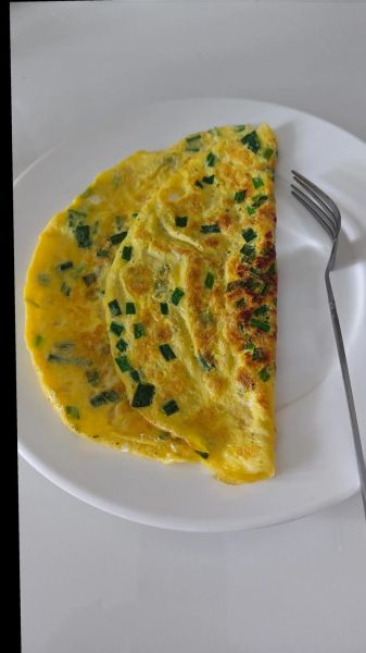 鸡蛋饼的做法_鸡蛋饼配方比例是多少-第3张图片-山城妙识 鸡蛋饼的做法_鸡蛋饼配方比例是多少-第3张图片-山城妙识