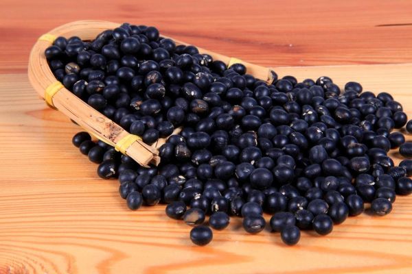 黑豆熬醋染发真的有用吗_黑豆醋染发步骤详解-第2张图片-山城妙识 黑豆熬醋染发真的有用吗_黑豆醋染发步骤详解-第2张图片-山城妙识