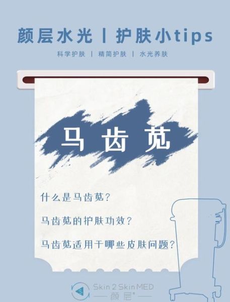 马齿苋对皮肤的功效有哪些_马齿苋护肤品适合敏感肌吗-第3张图片-山城妙识 马齿苋对皮肤的功效有哪些_马齿苋护肤品适合敏感肌吗-第3张图片-山城妙识