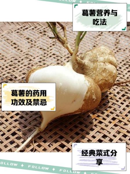 葛薯怎么做好吃_葛薯的家常做法-第1张图片-山城妙识 葛薯怎么做好吃_葛薯的家常做法-第1张图片-山城妙识