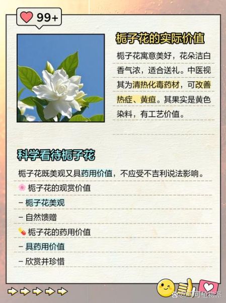 老人说养栀子花不吉利_栀子花风水禁忌真相-第2张图片-山城妙识
