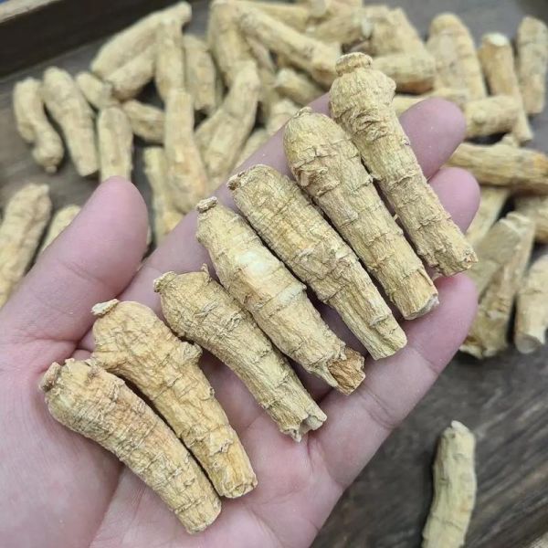 花旗参价格多少钱一克_花旗参为什么这么贵-第2张图片-山城妙识