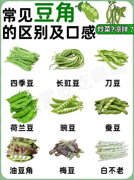 豇豆和豆角的区别_豇豆是豆角吗-第3张图片-山城妙识