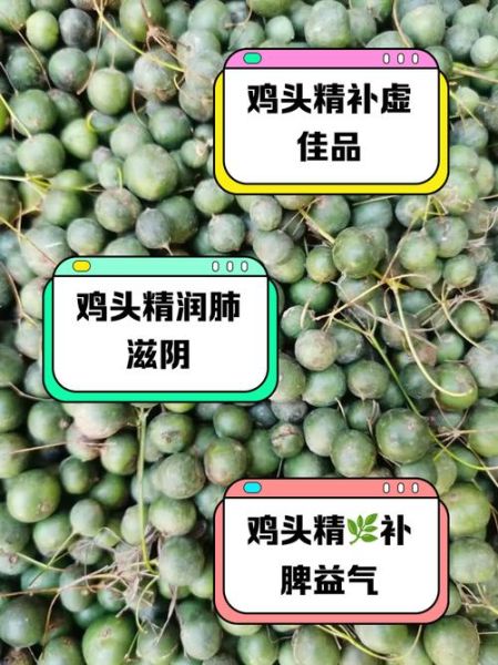 鸡头能吃吗_鸡头营养价值与禁忌-第1张图片-山城妙识 鸡头能吃吗_鸡头营养价值与禁忌-第1张图片-山城妙识