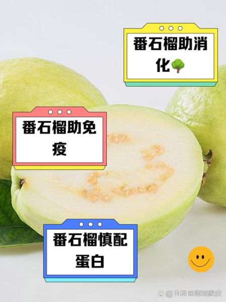 番石榴的功效与副作用_孕妇能吃吗-第2张图片-山城妙识 番石榴的功效与副作用_孕妇能吃吗-第2张图片-山城妙识