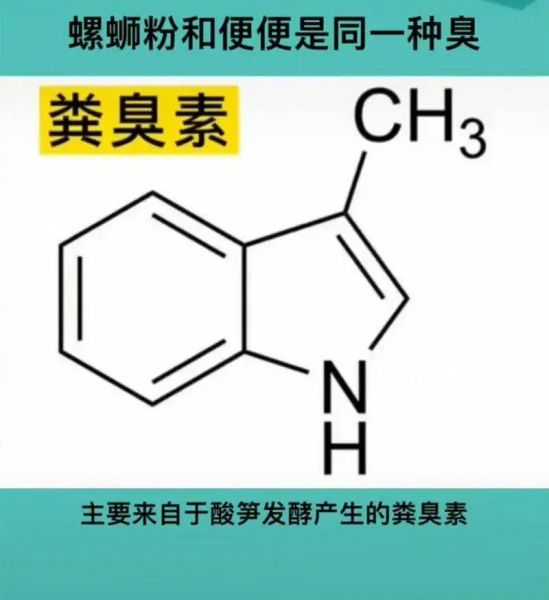 螺蛳粉为什么臭_螺蛳粉臭味来源-第3张图片-山城妙识 螺蛳粉为什么臭_螺蛳粉臭味来源-第3张图片-山城妙识