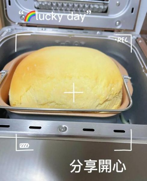 东菱面包机标准面包程序怎么做_东菱面包机标准面包程序需要多久-第2张图片-山城妙识