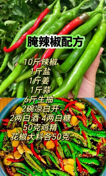 怎样腌制辣椒才好吃_腌制辣椒的配方-第3张图片-山城妙识 怎样腌制辣椒才好吃_腌制辣椒的配方-第3张图片-山城妙识