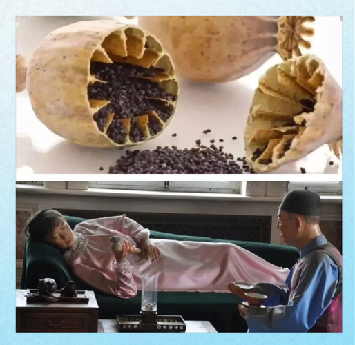 鸦片是什么_鸦片会上瘾吗-第2张图片-山城妙识