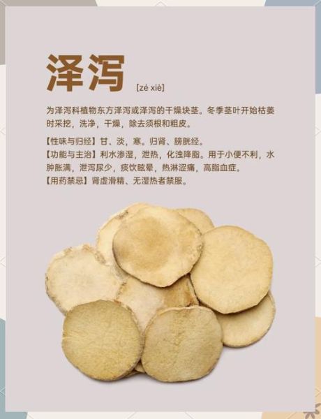 盐泽泻的功效与作用_盐泽泻适合什么人吃-第1张图片-山城妙识