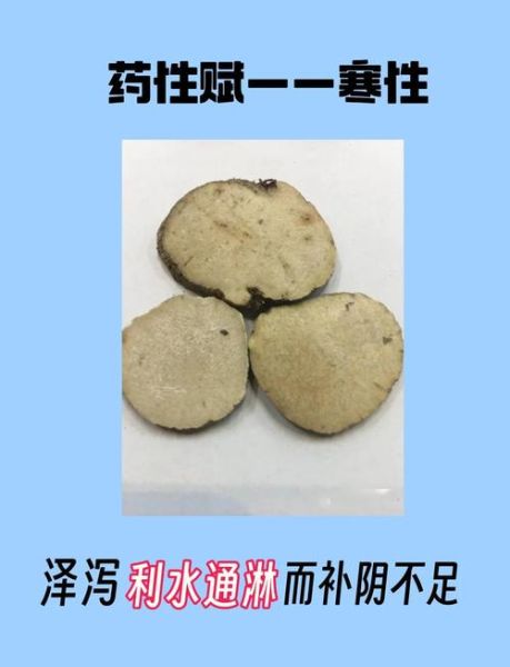 盐泽泻的功效与作用_盐泽泻适合什么人吃-第2张图片-山城妙识