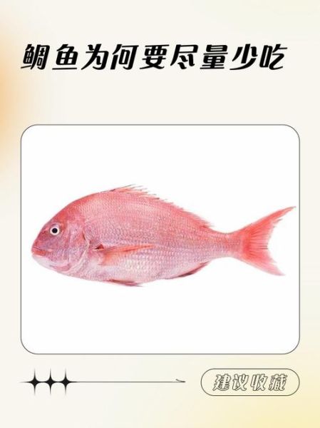 鲷鱼哪些人不能吃_孕妇能吃鲷鱼吗-第1张图片-山城妙识