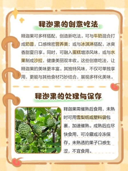 释迦果怎么吃_释迦果的吃法技巧-第1张图片-山城妙识