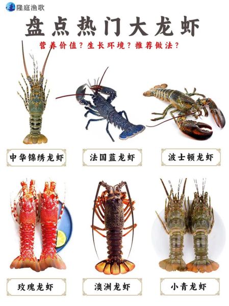 大龙虾品种有哪些_大龙虾怎么区分-第1张图片-山城妙识