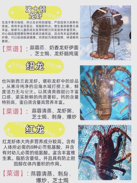大龙虾品种有哪些_大龙虾怎么区分-第2张图片-山城妙识