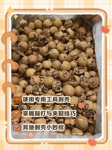 山核桃怎么剥_山核桃剥壳技巧-第1张图片-山城妙识 山核桃怎么剥_山核桃剥壳技巧-第1张图片-山城妙识