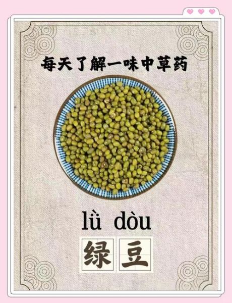 绿豆解中药还是解西药_真相揭秘-第1张图片-山城妙识