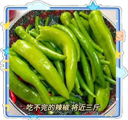 辣椒末的做法及配料_用苹果提味怎么做-第2张图片-山城妙识 辣椒末的做法及配料_用苹果提味怎么做-第2张图片-山城妙识