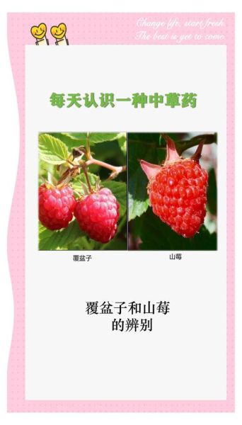 野生覆盆子图片_如何辨别真假野生覆盆子-第2张图片-山城妙识 野生覆盆子图片_如何辨别真假野生覆盆子-第2张图片-山城妙识