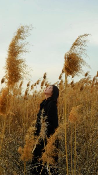 芦苇图片怎么拍好看_芦苇适合什么季节拍摄-第3张图片-山城妙识