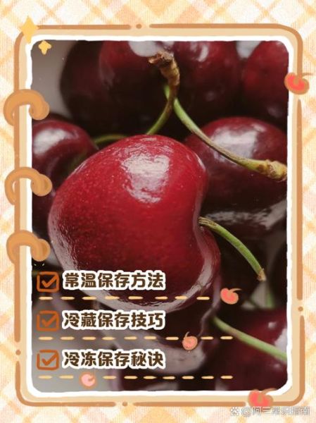 车厘子怎么保存_车厘子能放多久-第2张图片-山城妙识 车厘子怎么保存_车厘子能放多久-第2张图片-山城妙识