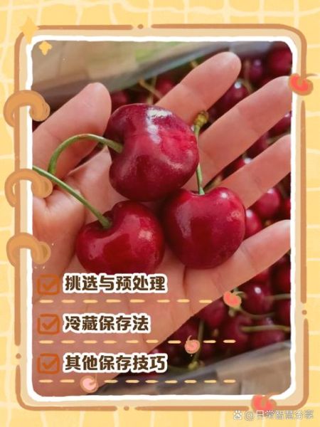 车厘子怎么保存_车厘子能放多久-第3张图片-山城妙识 车厘子怎么保存_车厘子能放多久-第3张图片-山城妙识